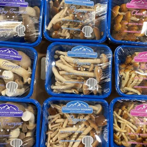 Intermountain Gourmet Mushrooms | Fresh-grown Utah Mushrooms
